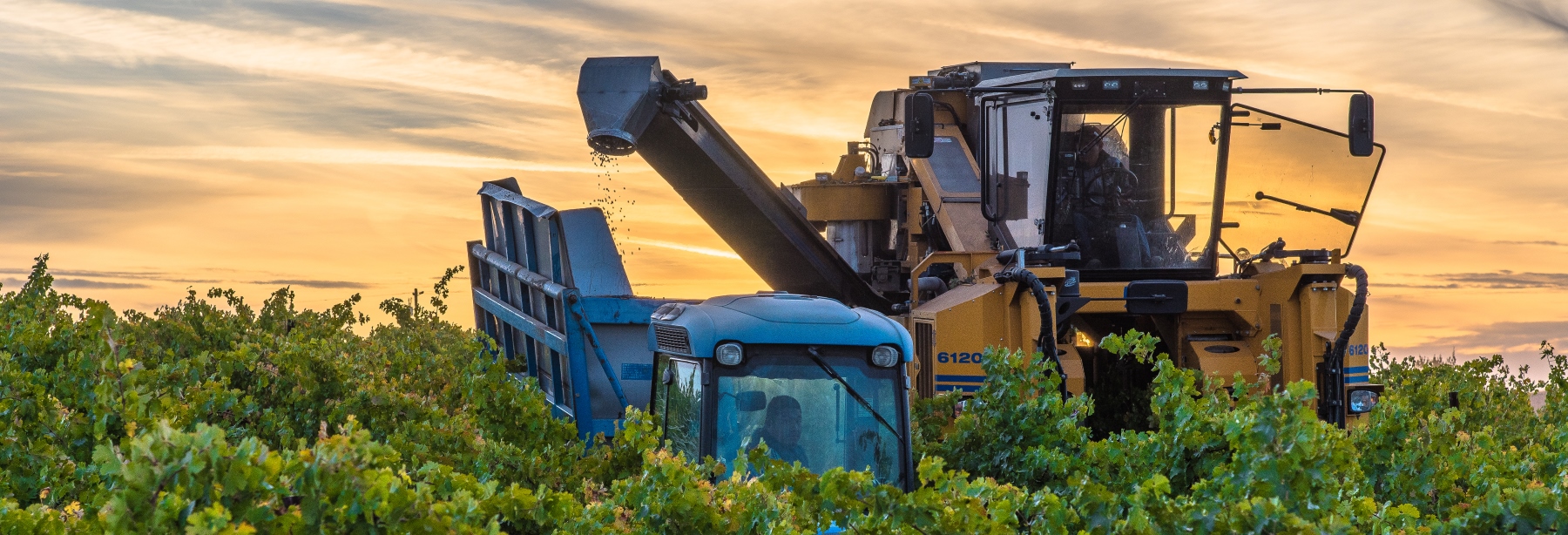 VPS Equipment Services | Vineyard Professional Services